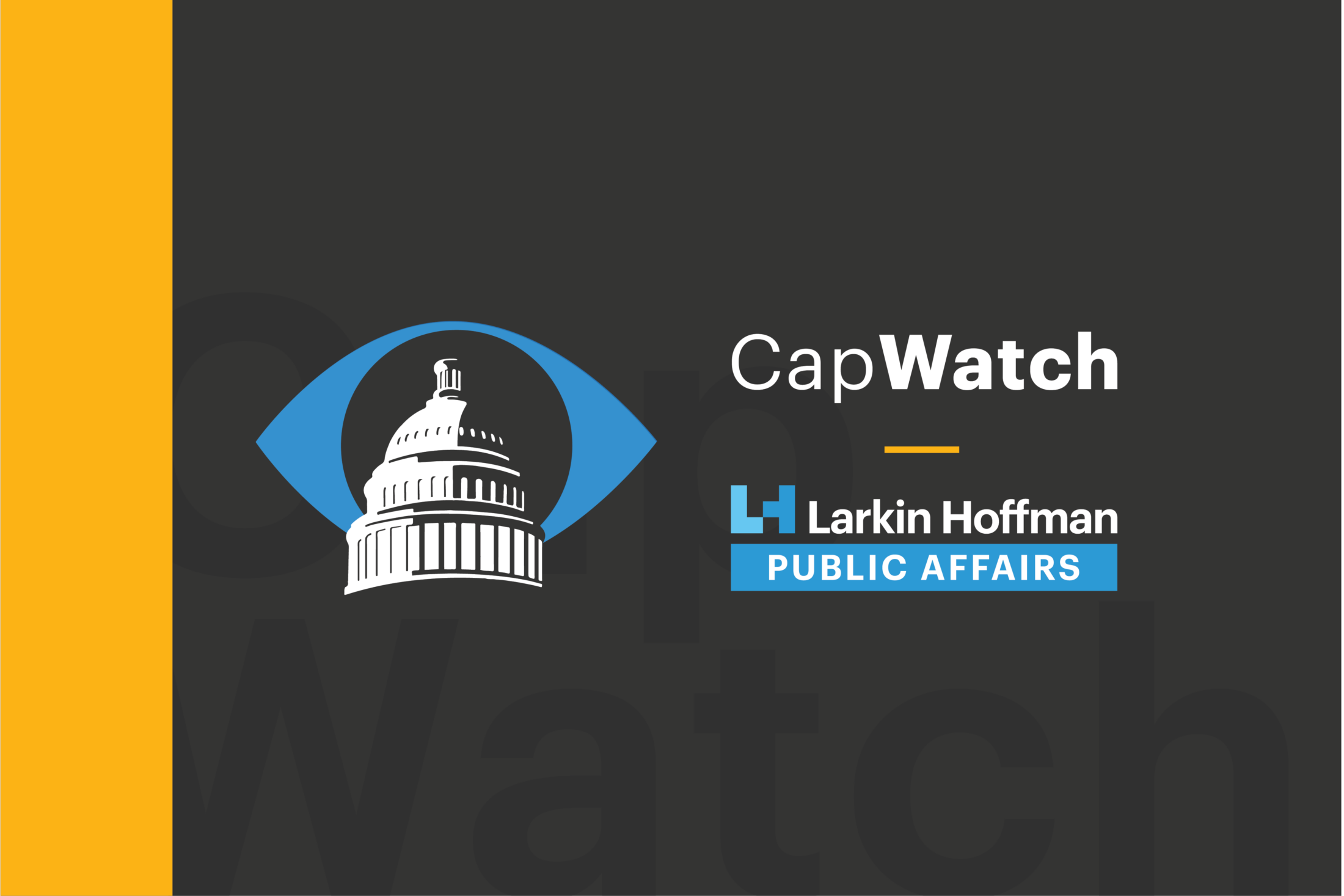 August 11, 2025 - Larkin Hoffman Public Affairs